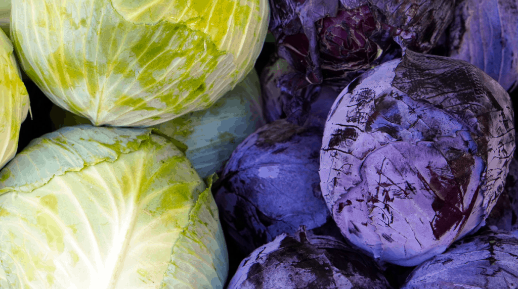 ROULEAUX DE CHOU FRISÉ À L'ORANGE - I Love Fruit And Veg From Europe