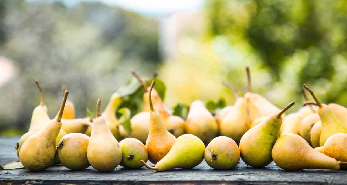7 Beneficios de la Pera para la Salud - I Love Fruit And Veg From Europe