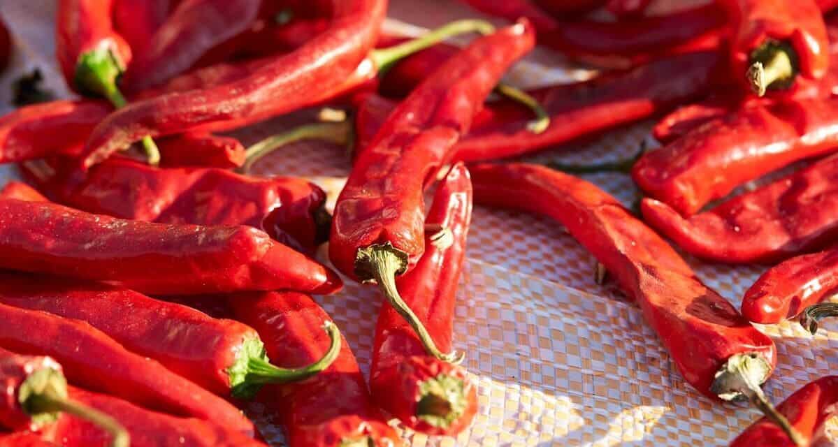 Tipos de Guindillas Más Comunes - I Love Fruit And Veg From Europe